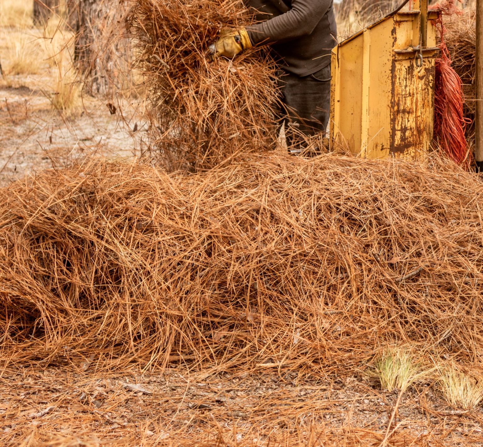 Where Does the Slash Go? - Cloud Country Estates